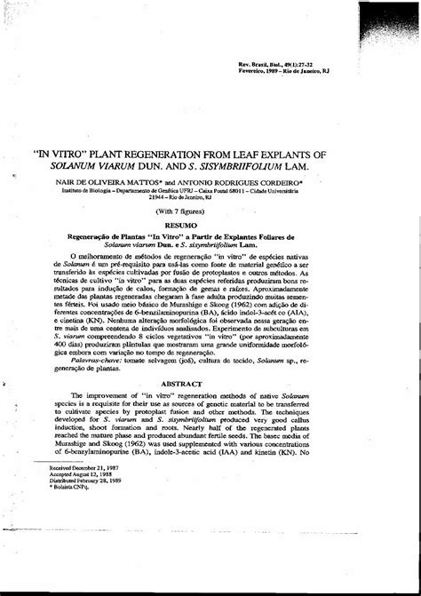 Pdf “in Vitro” Plant Regeneration From Leaf Explants Of Solanum