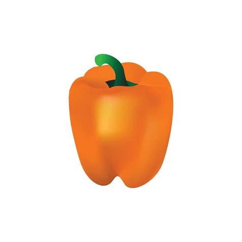 Realistic Capsicum Vector Illustration 13928223 Vector Art At Vecteezy