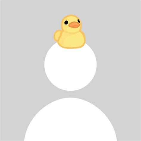 Default Pfp Duck Nel 2024 Immagini Del Profilo Foto Del Profilo