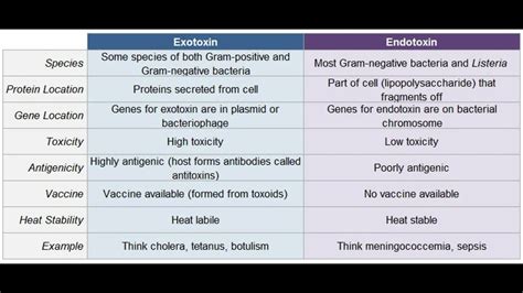 Endotoxins And Exotoxins Bacteria Noorpharmacylectures8513 Youtube