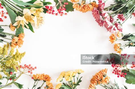 가 꽃 구성입니다 흰색 바탕에 신선한 꽃 프레임에 의하여 이루어져 있다 가가 개념 평면 위치 최고 보기 복사 공간 꽃 식물에