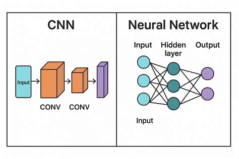 Neural Network Architectures Explained Fnn Cnn And Rnn In Simple Terms By Mehrshad Asadi