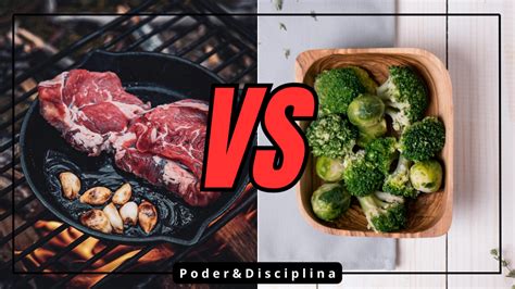 Proteína Animal Vs Proteína Vegetal Qual A Melhor Opção