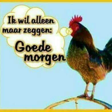 Pin Van Hemant Jethoe Op Goede Morgen Goedemorgen Goedemorgen