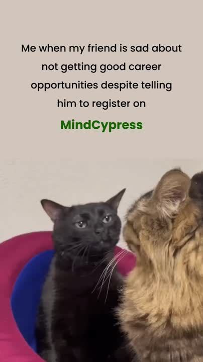 Mindcypress On Linkedin Mindcypress Edtech Certification Onlinelearning Onlinetraining