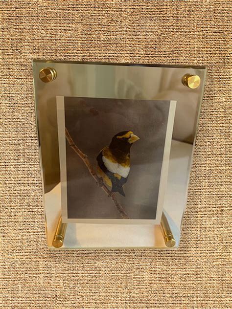 4×6 Acrylic Double Panel Frame Gold One Eleven Main