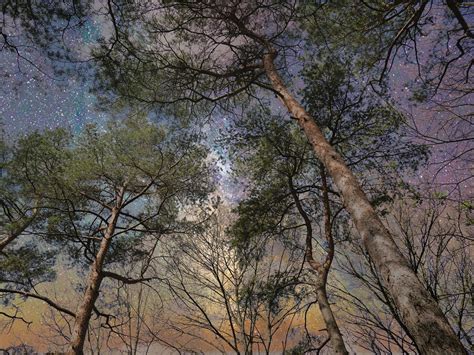 夜空 星空 自然 Pixabay上的免费照片 Pixabay