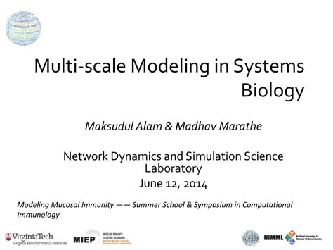 ppt multi scale modeling in systems biology powerpoint presentation
