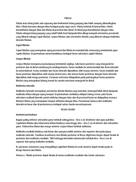 Fibula Pdf