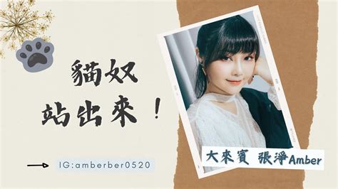 【被告不要哭】貓奴站出來 Ep011 張淨amberc 上集 Youtube