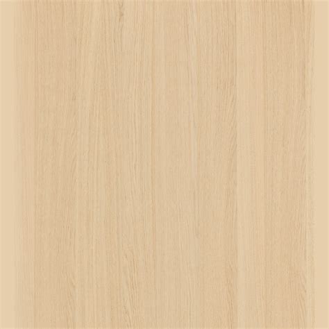 Milk Oak Shinnoki Prefinished Timber Veener Archipro Nz