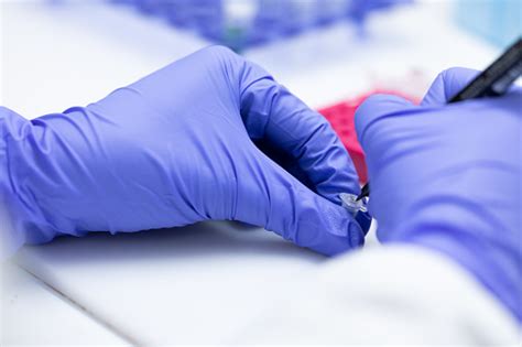 중합효소 연쇄 반응 및 아가로즈 젤 전기 동아나는 실험실에서 생화학 분자 생물학 유전학 및 임상 화학에 사용되는 젤 전기 동거의 방법입니다 Dna에 대한 스톡 사진 및 기타