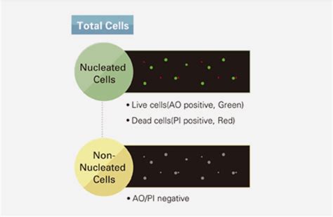 Luna Stem™ Automated Cell Counter For Stem Cell Research Logos Biosystems