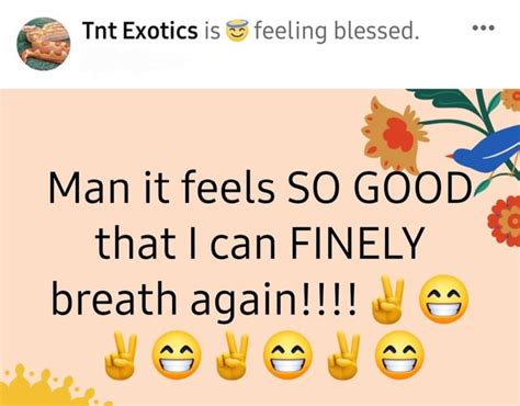 Everybody Hits R Phillies