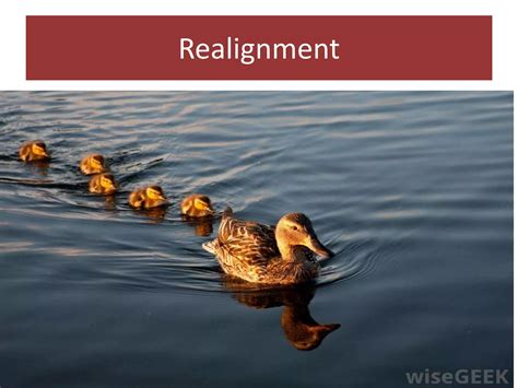 Political Realignment And Dealignment Ppt