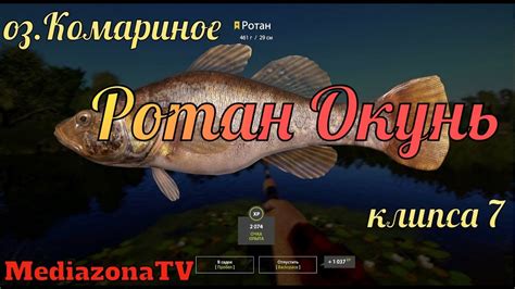 Русская Рыбалка 4 оз Комариное Окунь Ротан 02 06 23 Youtube