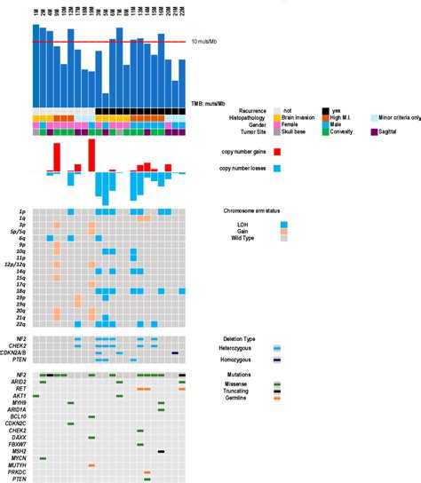 figure 1 from molecular profiling of 22 primary atypical meningiomas