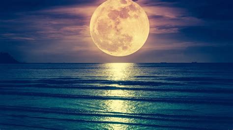 Luna llena de febrero así impactará a cada signo del zodiaco Infobae