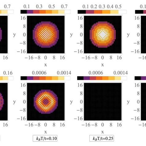 Color Online Density Order Profile Top And Superfluid Order