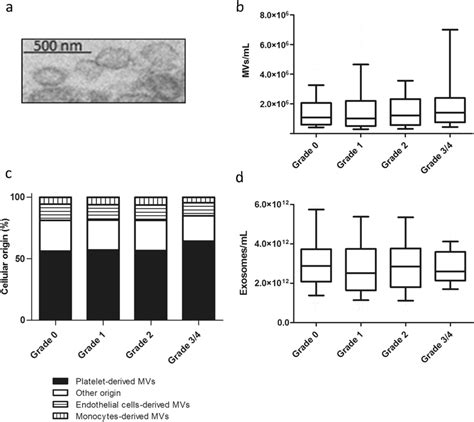 circulating ev characterization in patients a morphology of