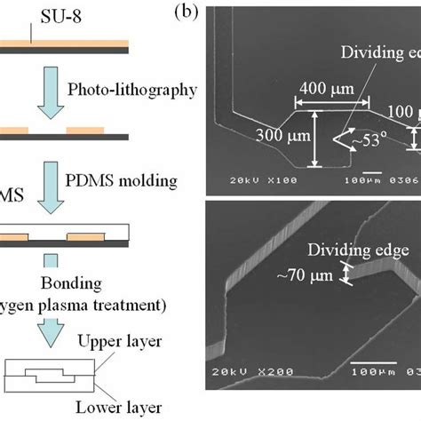 Experiments For Redox Reactions Of Ascorbic Acid And Iodine Solutions Download Scientific