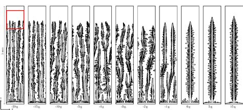 Figure 1 From Columnar Dendritic Solidification Of Tial Under Diffusive