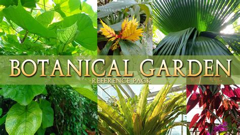 Botanical Garden Reference Pack