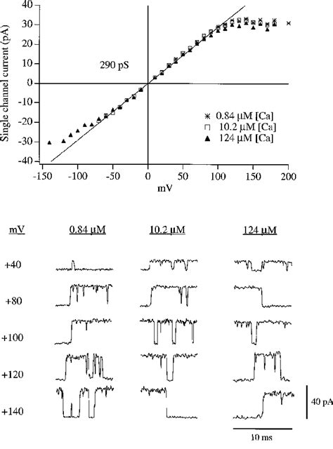 Mslo Single Channel Current Voltage Relations I V Determined At 0 84
