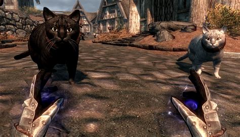 卡吉特的宠物下载v14版本上古卷轴5：天际 Mod下载 3dm Mod站