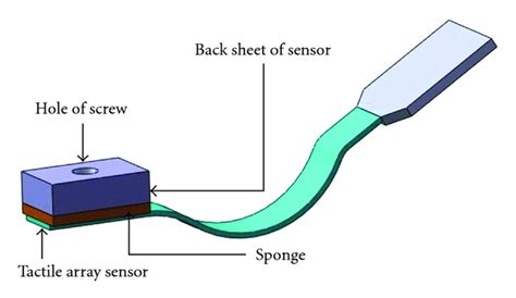 A Display Of The Structure Of A Tactile Array Sensor Block The Tactile Download Scientific