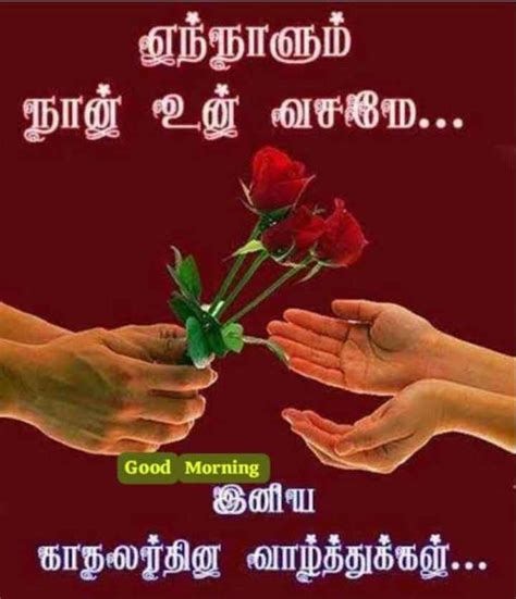 🤩காதலர் தின வாழ்த்துக்கள் ️ Images • G Sri 98625426 On Sharechat