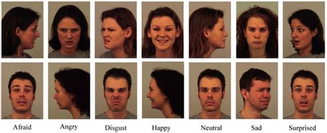 facial emotion recognition using transfer learning in the deep cnn