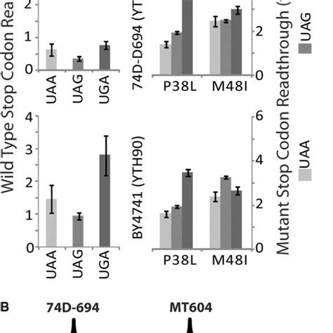Relationship Between Stop Codon Read Through And Growth In Yeast Erf1