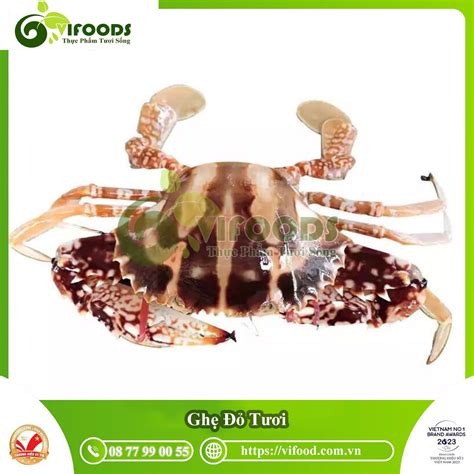 Ghẹ Đỏ Giá Bao Nhiêu Tiền Mua ở đâu Bán Giá Rẻ Món Gì Ngon