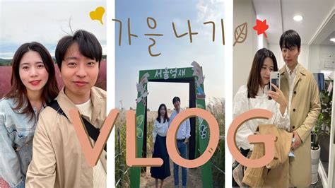 VLOG 가을나기 양주 나리공원 추억의 하니랜드 하늘공원 갈대 구경 YouTube