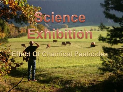 Effects Of Pesticides On Environment Ppt