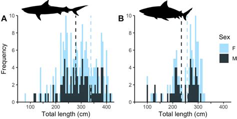 Size Frequency Histograms By Sex Of A Tiger Shark And B Bull Shark
