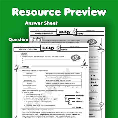 Evidence Of Evolution Home Learning Worksheet Gcse Teaching Resources