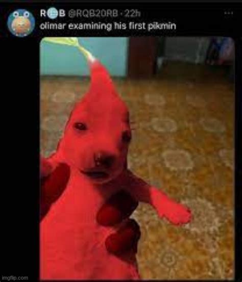 Pikmin Imgflip