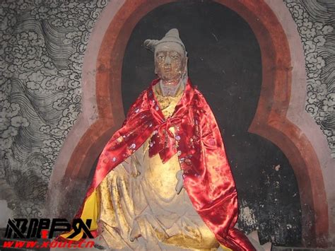 水母娘娘图册360百科