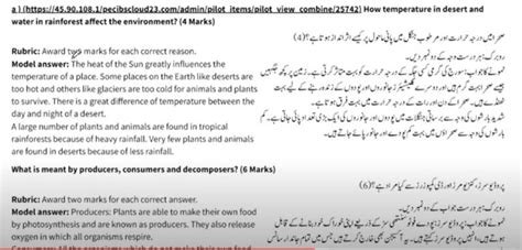 School Based Assessment For Grade 6 In Punjab 2024