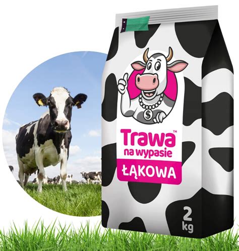 Trawa Łąkowa kg Niska cena na Allegro pl