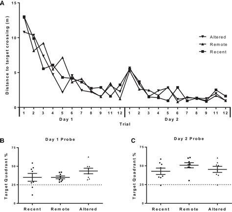 Increased Task Demand During Spatial Memory Testing Recruits The