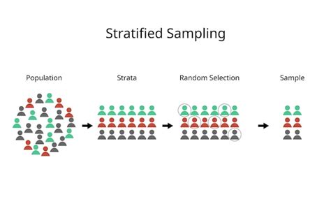 Premium Vector Stratified Sampling Method To Divide A Population Into Homogeneous