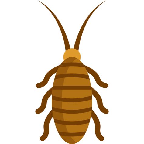 Cockroach Icon At Getdrawings Free Download