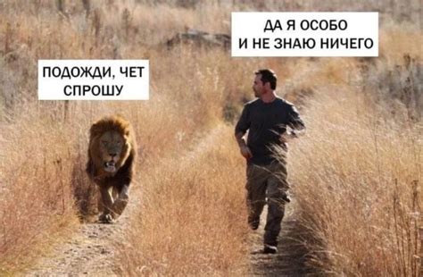 Создать мем лев бежит за человеком утренняя пробежка убегает от льва