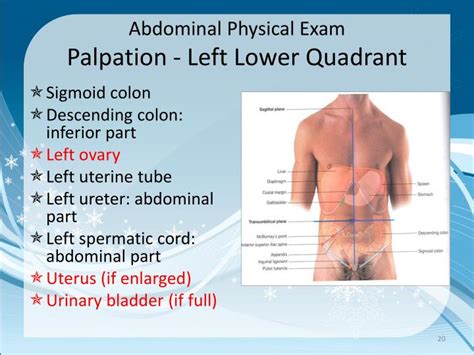Ppt Abdominal Exam Powerpoint Presentation Id 6706245