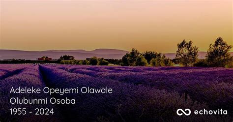 Adeleke Opeyemi Olawale Olubunmi Osoba Obituary 1955 2024