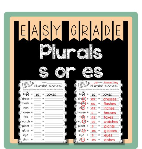 Plurals Add S Es Ies Mixed Plurals Plural Nouns Assessment Made