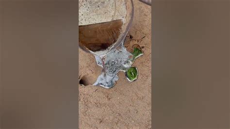 Shape Casting By Forge Foundry Creations Metal Experiment